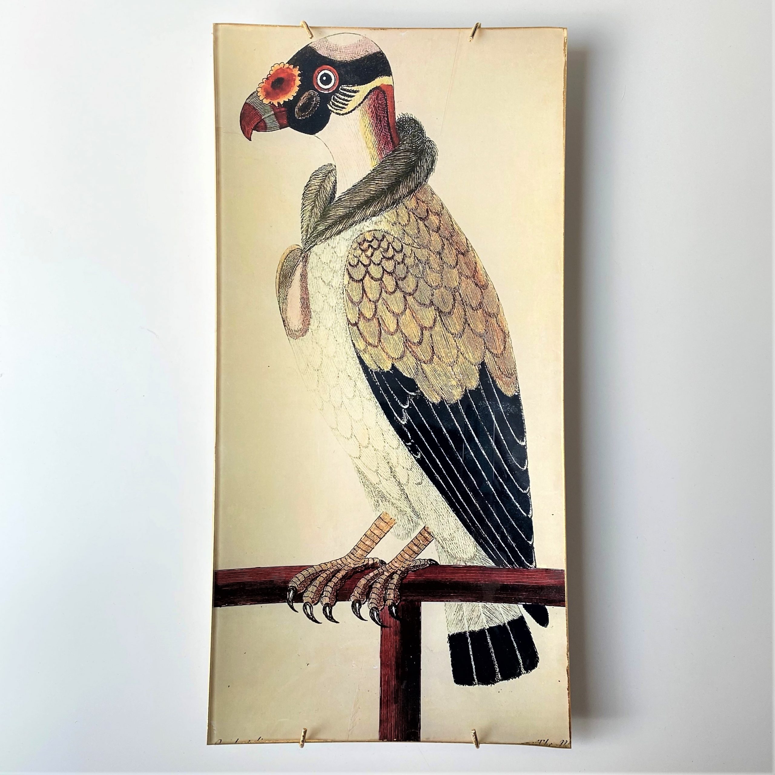 Exotic Bird Large Plate - Omelo Mirrors Omelo Decorative Convex Mirrors