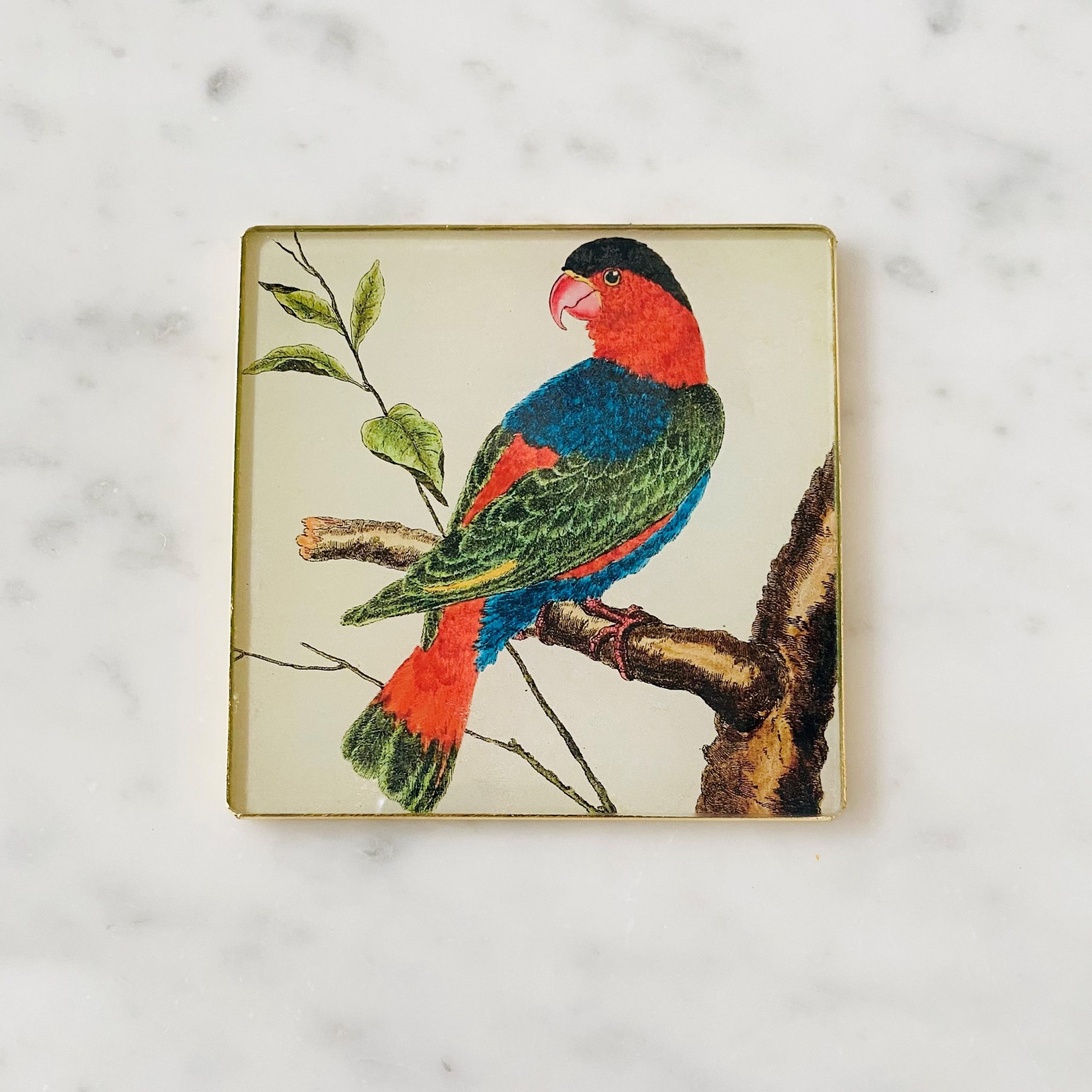 Lory Parrot Decoupage Glass Coaster - Omelo Mirrors Omelo Decorative ...